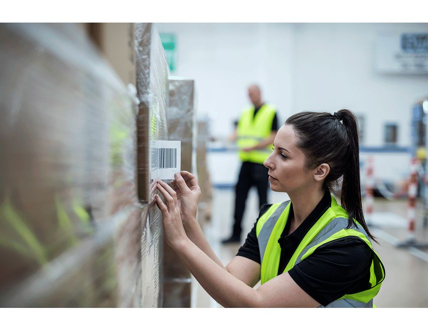 Label 102 mm continuous - Beep Informática